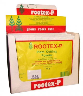 Rootex Powder 18g Sachet - Hydro Kingdom