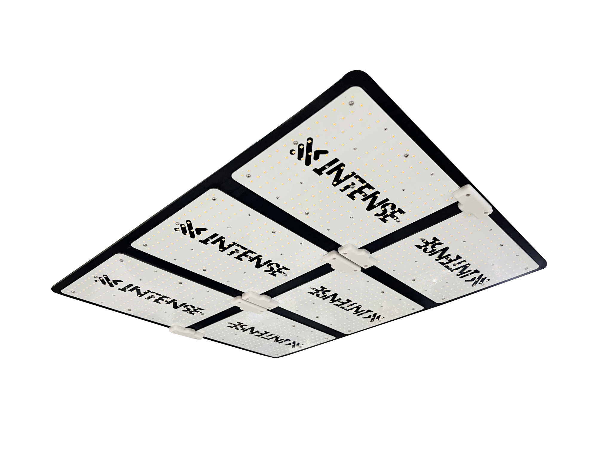 INTENSE L-600 600W LED - Hydro Kingdom